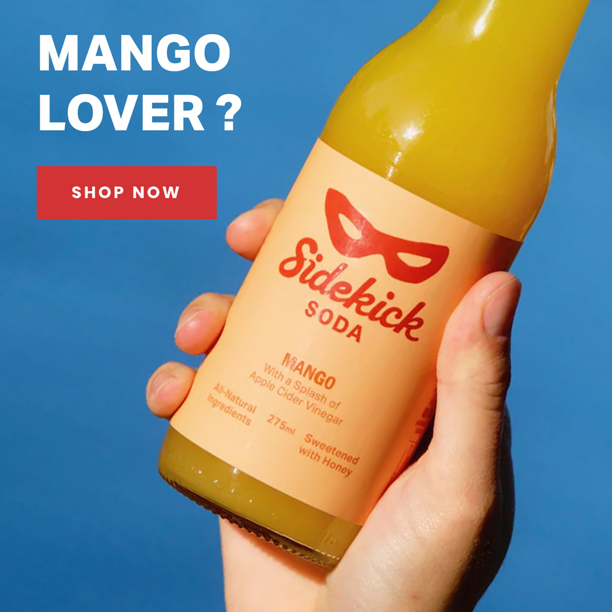 Sidekick Soda | Locally Made Soda (that's actually good for you)