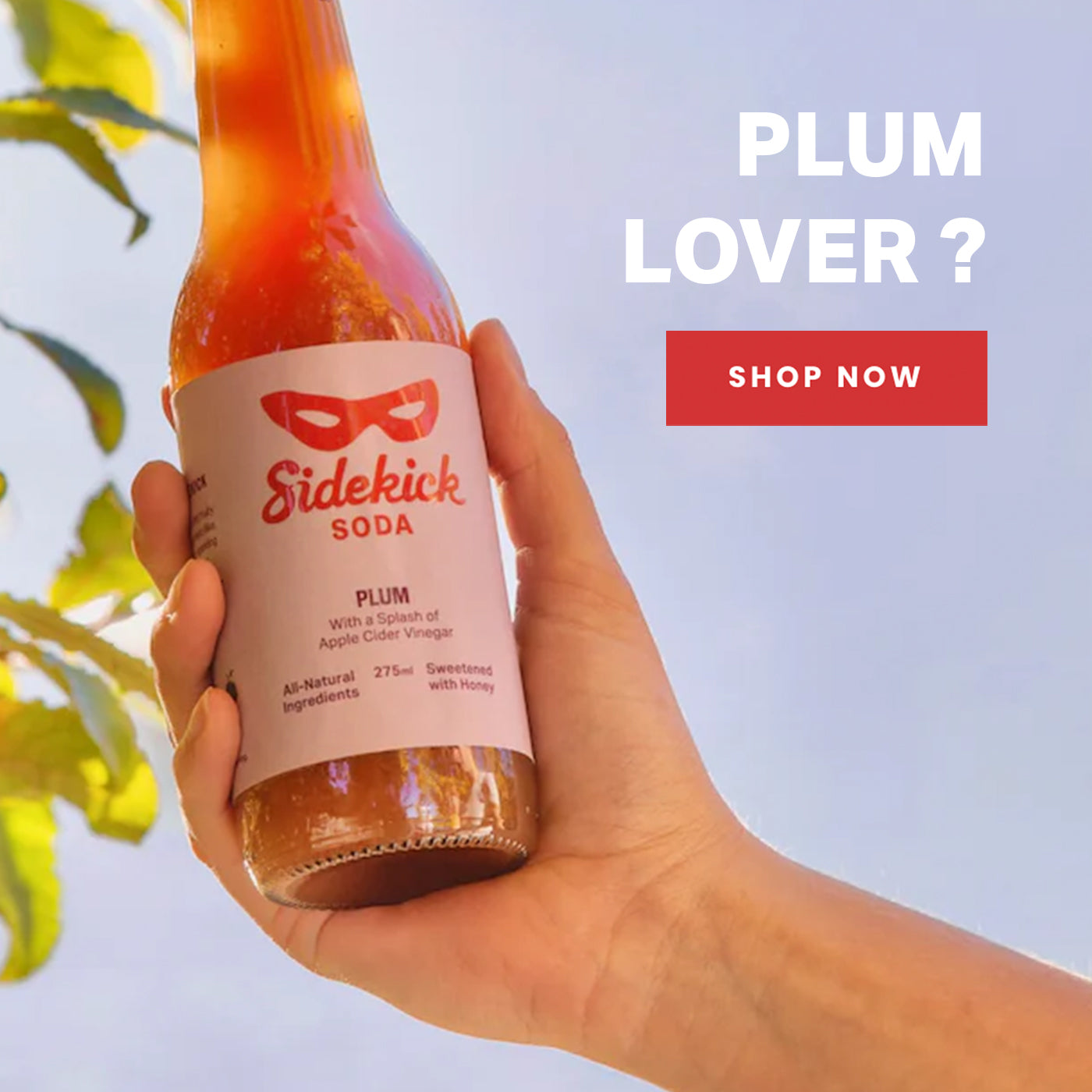 Sidekick Soda | Locally Made Soda (that's actually good for you)