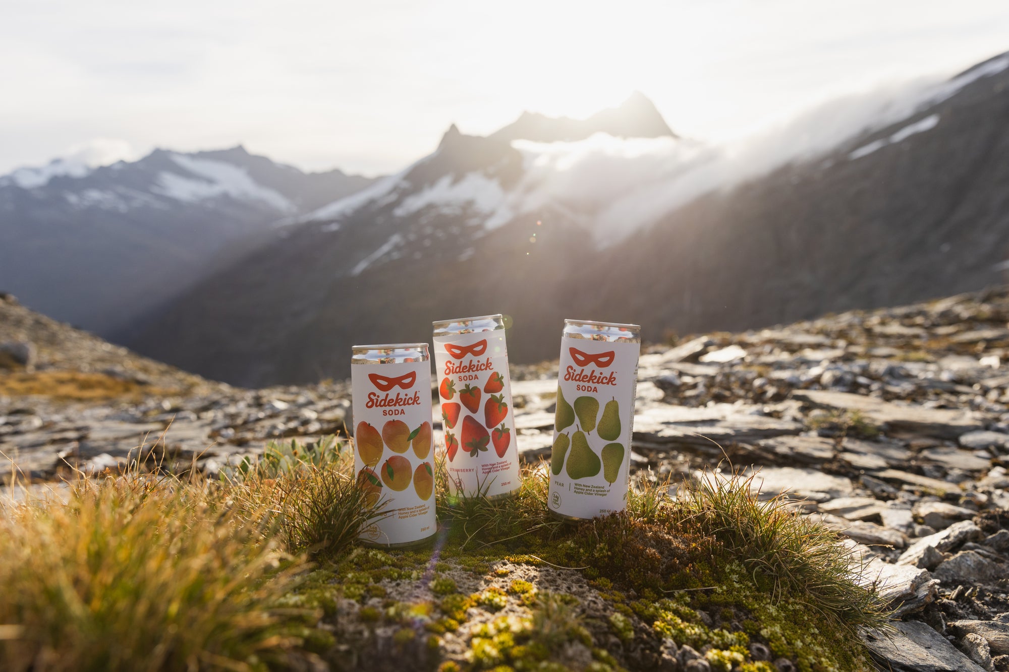 Sidekick Soda | 🍋‍🟩 Real Fruit, NZ Honey & ACV