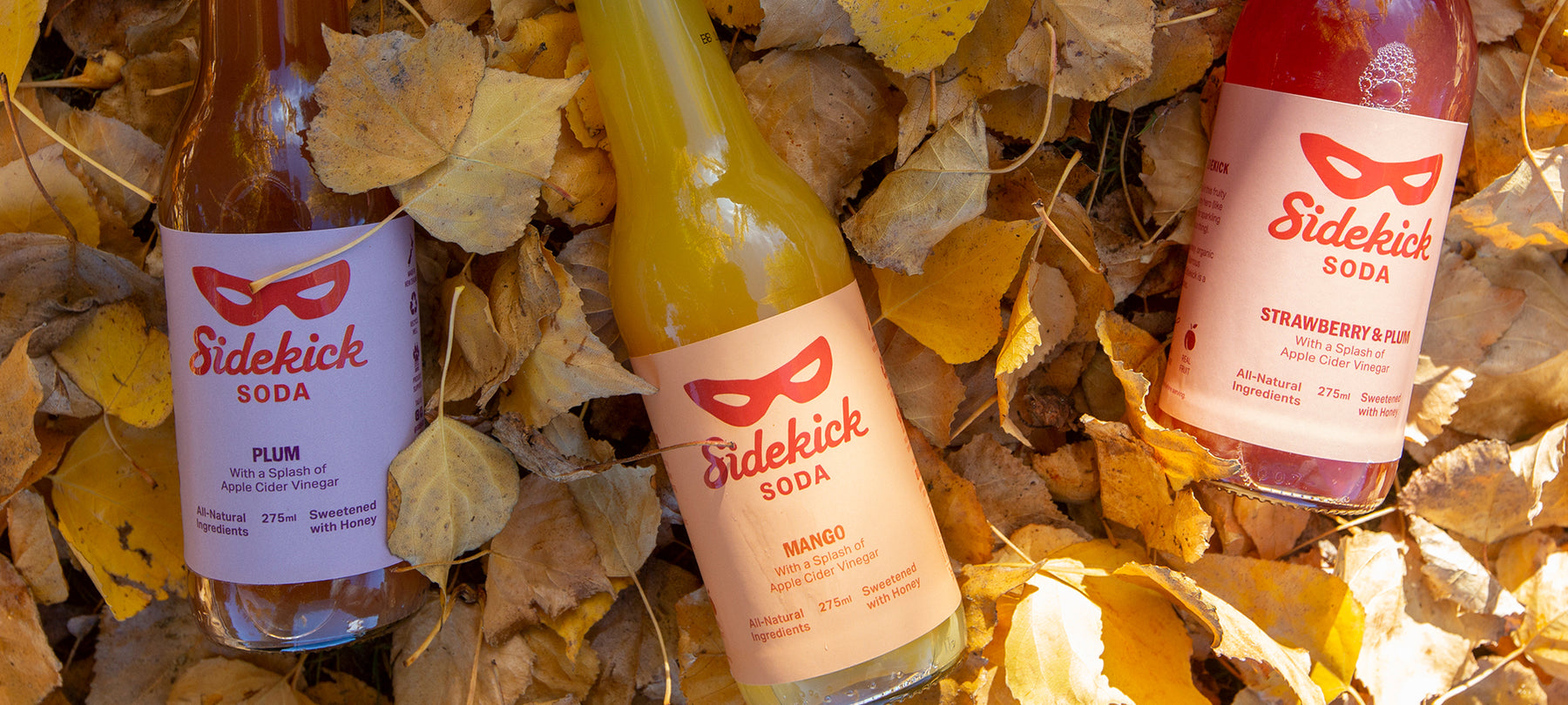 THE SIDEKICKS – Sidekick Soda