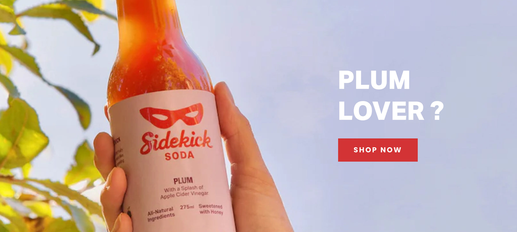 Sidekick Soda | Locally Made Soda (that's actually good for you)