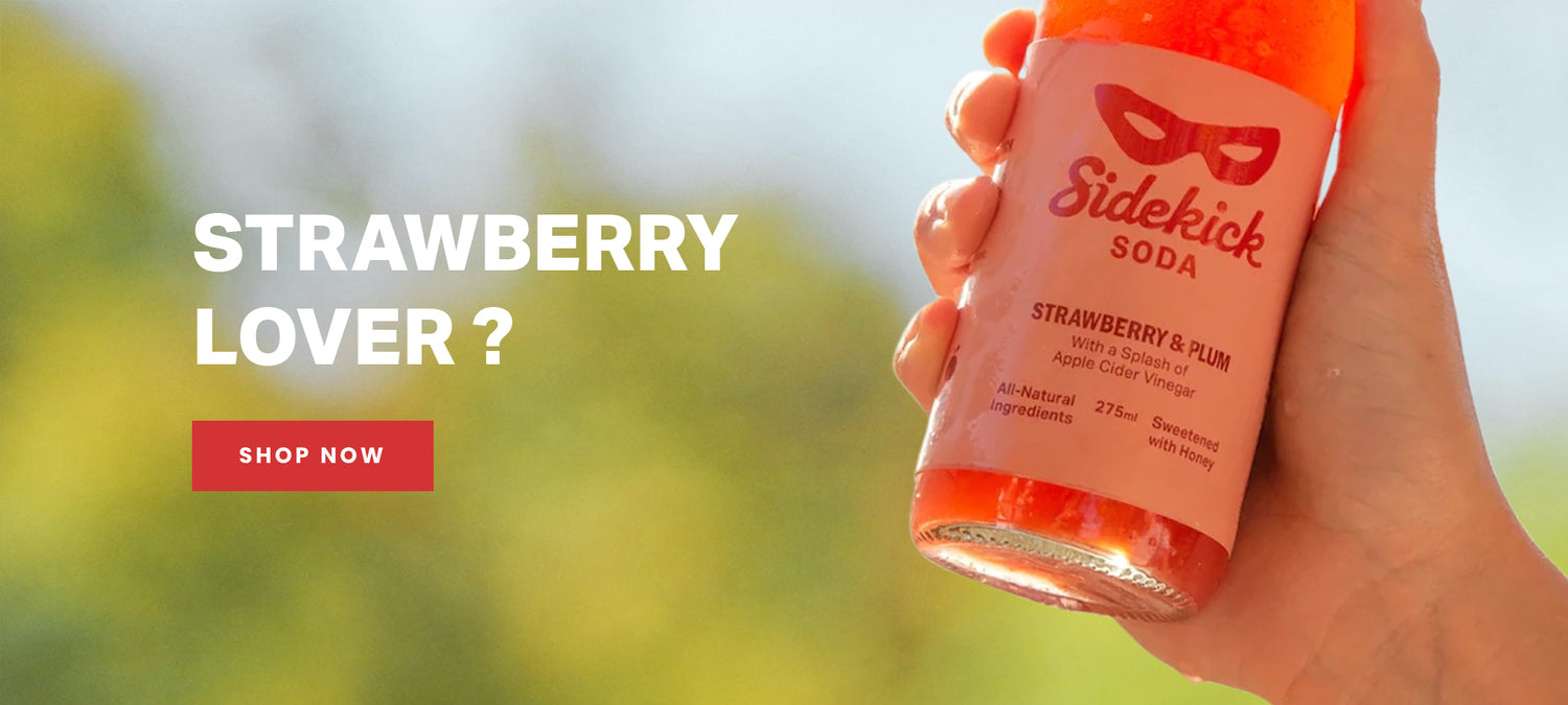 Sidekick Soda | Locally Made Soda (that's actually good for you)