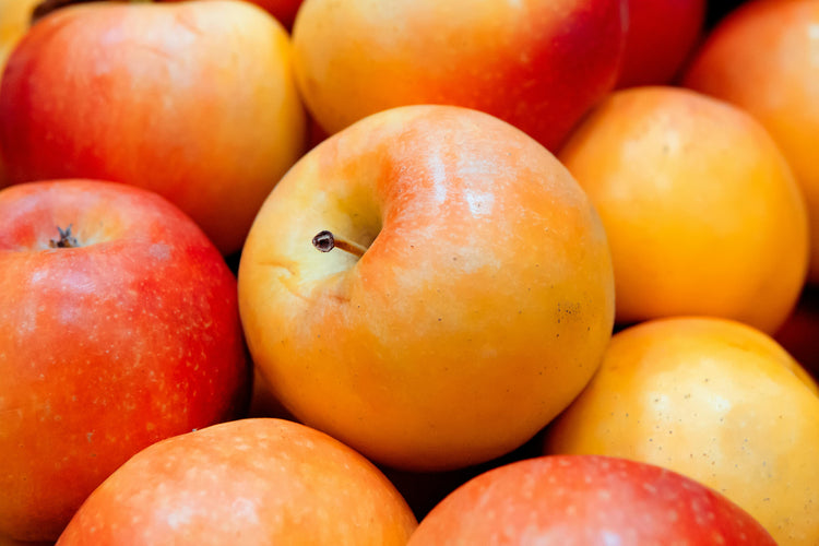 Sidekick Soda | 🍋‍🟩 Real Fruit, NZ Honey & ACV