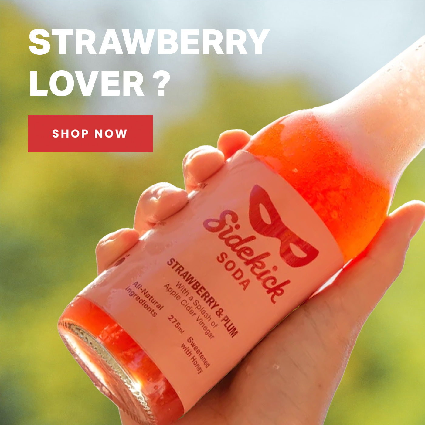 Sidekick Soda | Locally Made Soda (that's actually good for you)