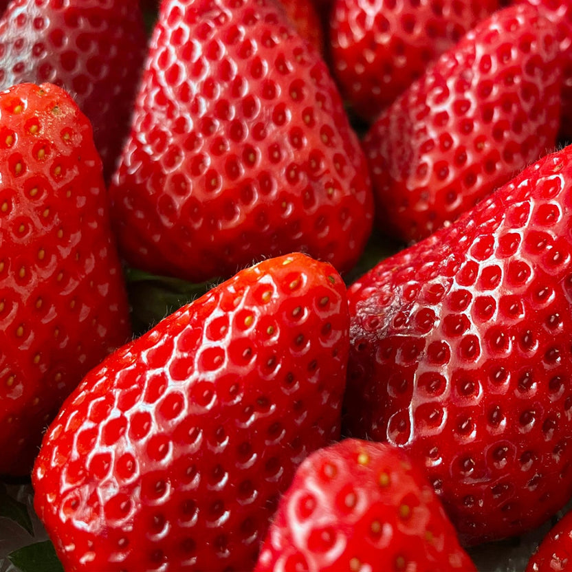 Sidekick Soda | 🍋‍🟩 Real Fruit, NZ Honey & ACV